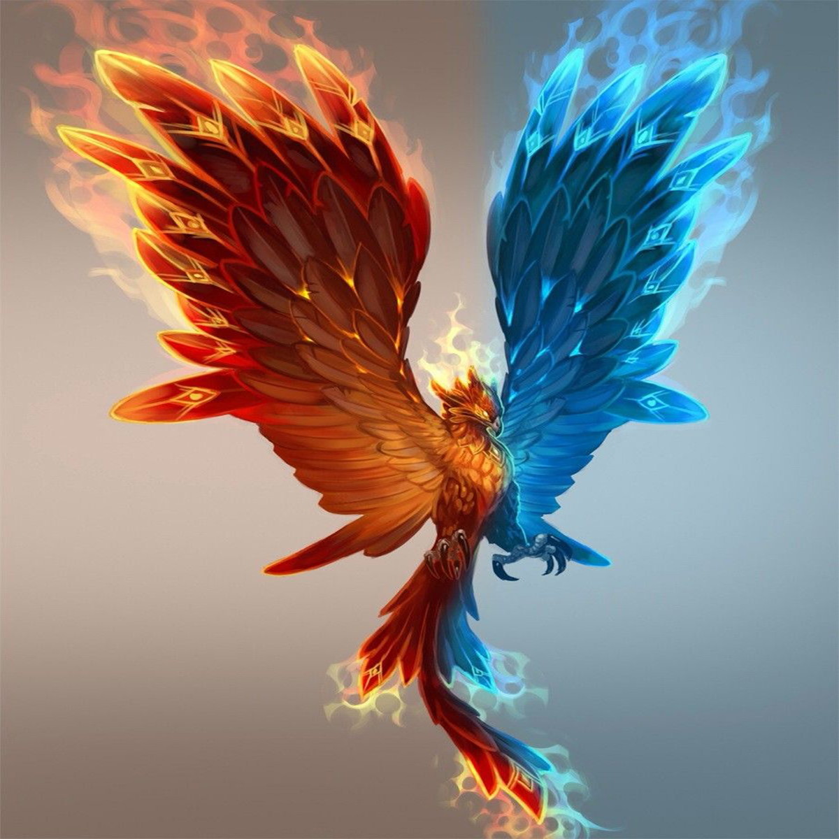 Fenix Trading FX - Edney Pinheiro | Hotmart