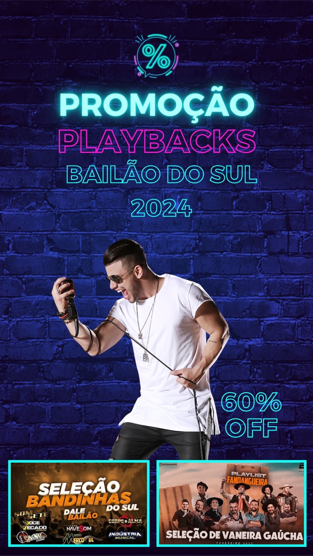 BAILÃO DO SUL 2024 (Playbacks para baile)