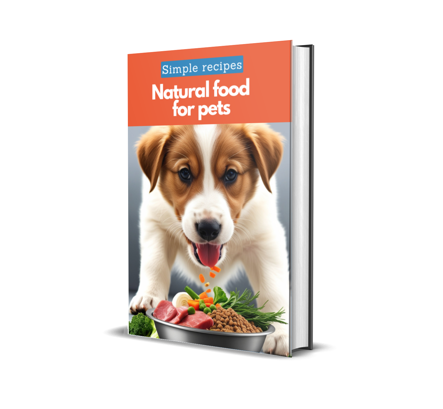 Natural Feeding Recipes - Step-by-Step Guide