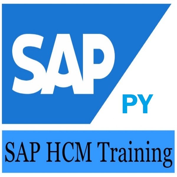 Curso SAP HCM PY Consultor / Configuración Completa 2021 - Edwin Pi...
