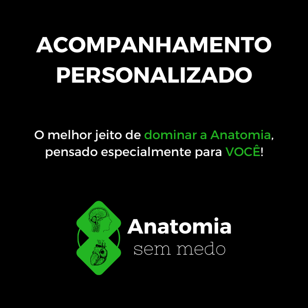 Acompanhamento Personalizado - Anatomia sem medo - Luiz Antonio Lup...