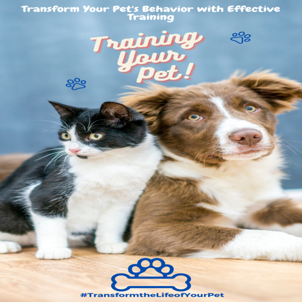Training your Pet
