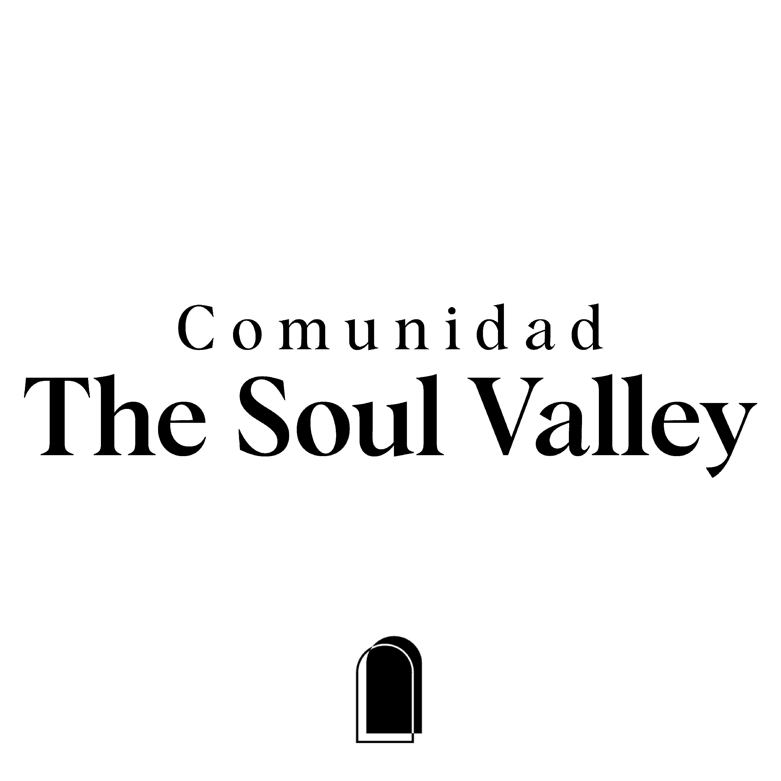 COMUNIDAD THE SOUL VALLEY