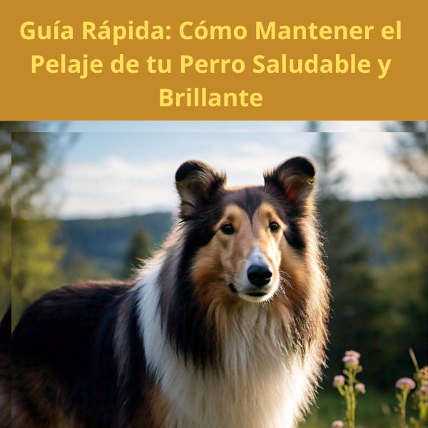 GUIA RAPIDA: COMO MANTENER EL PELAJE DE TU PERRO SALUDABLE Y BRILLA...