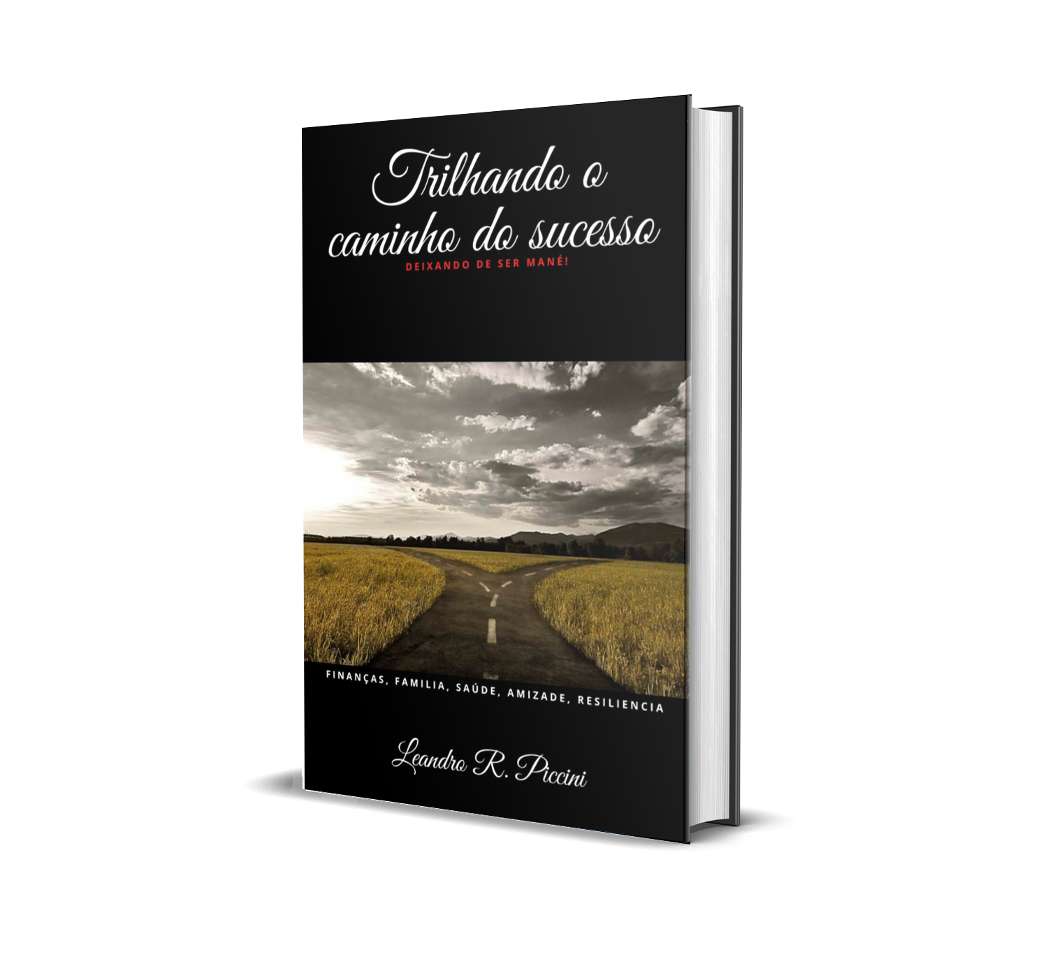 e-book - Trilhando o caminho do sucesso - Leandro Roberto Piccini