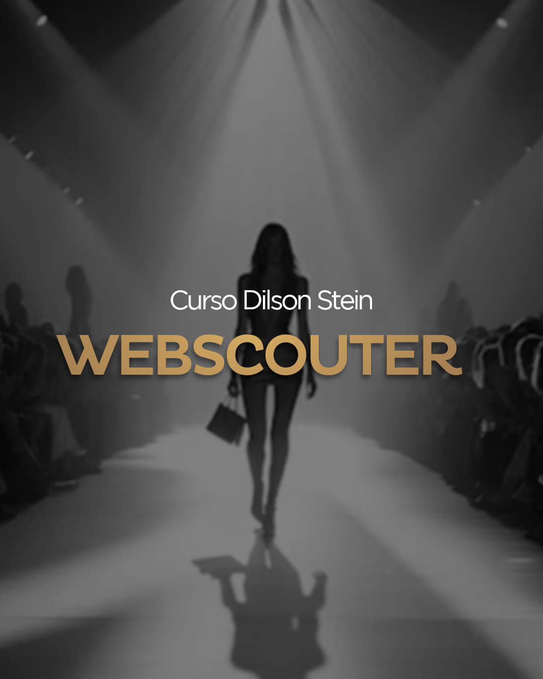 Curso Dilson Stein - Webscouter - Dilson Stein New Models | Hotmart