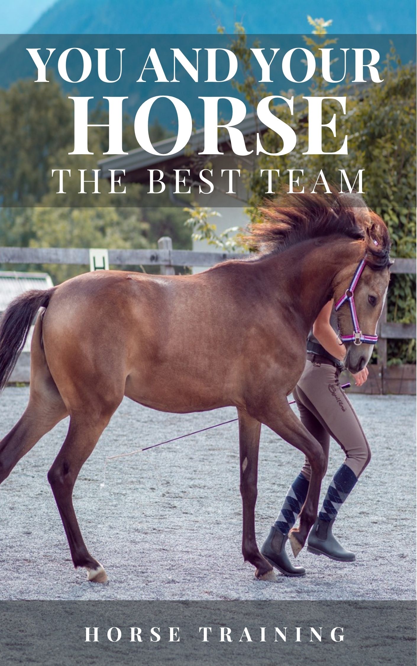 YOU AND YOUR HORSE, THE BEST TEAM. HORSE TRAINING. Beginner’s Guide to ...