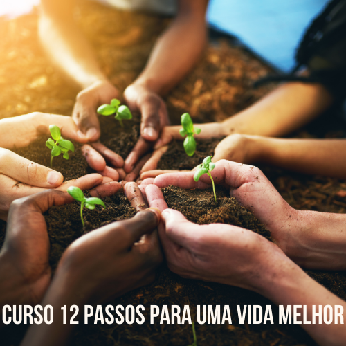12 PASSOS PARA UMA VIDA MELHOR - JOSÉ ALVES | Hotmart