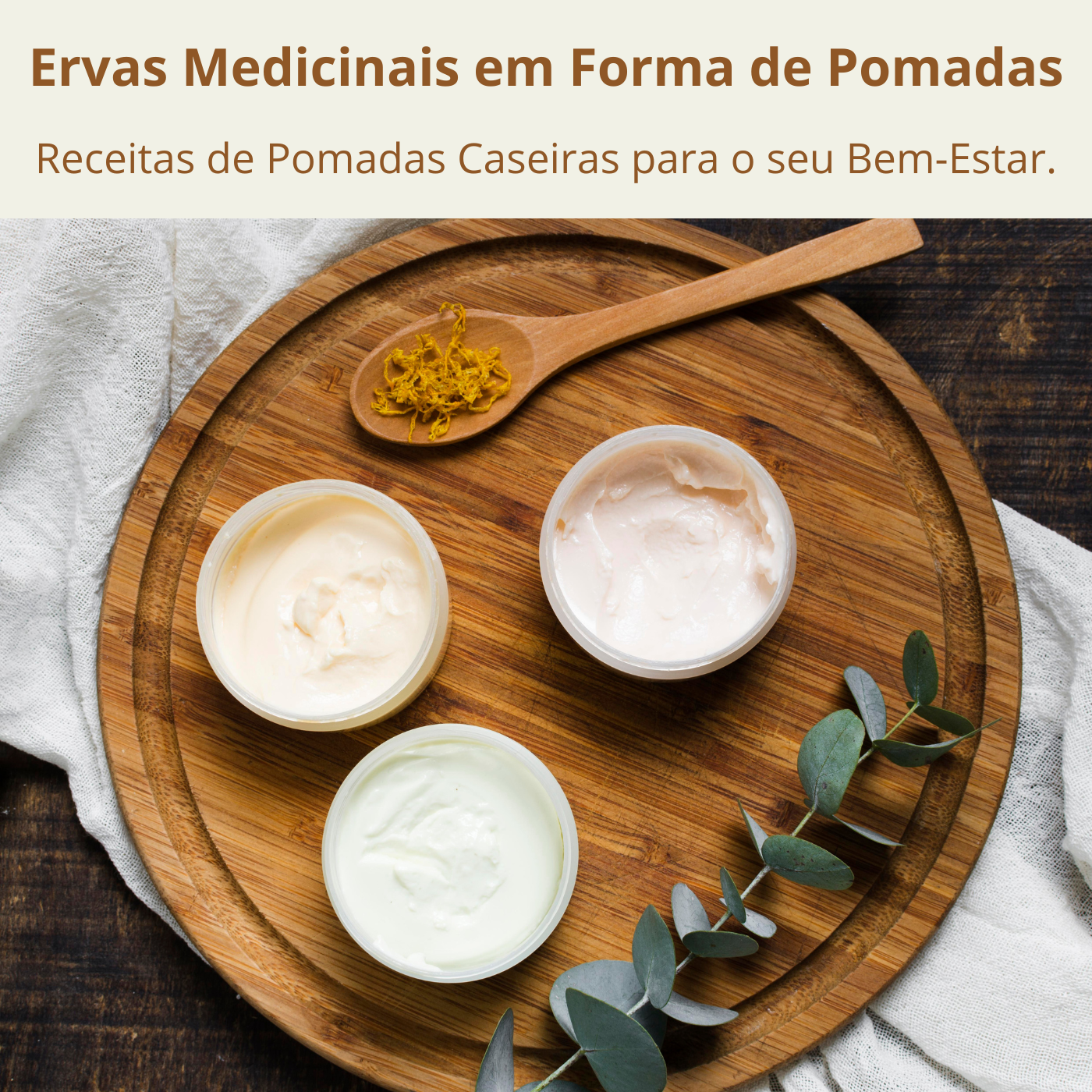 Ervas Medicinais em Forma de Pomadas: Receitas de Pomadas Caseiras para ...