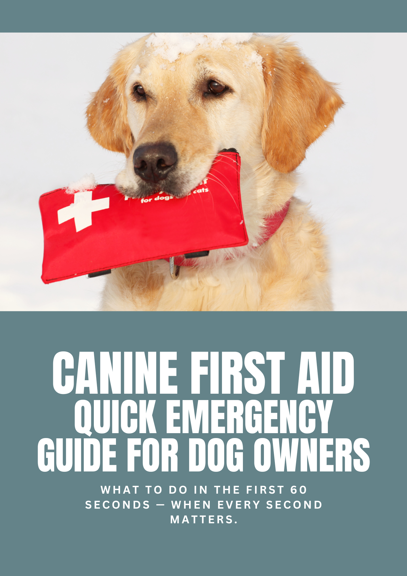 Canine First Aid Emergency Guide | Hotmart