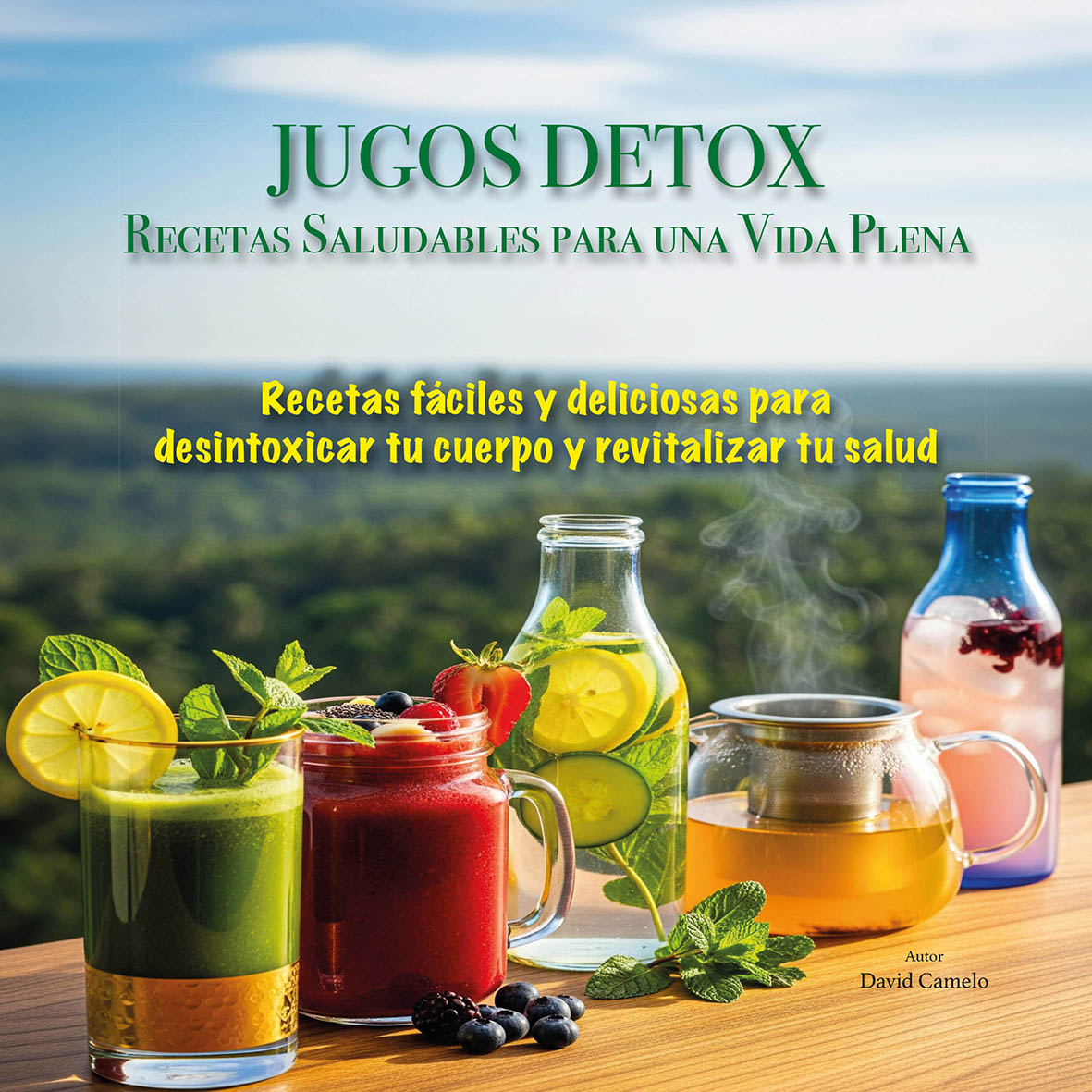 JUGOS DETOX Recetas Saludables para una Vida Plena | Hotmart