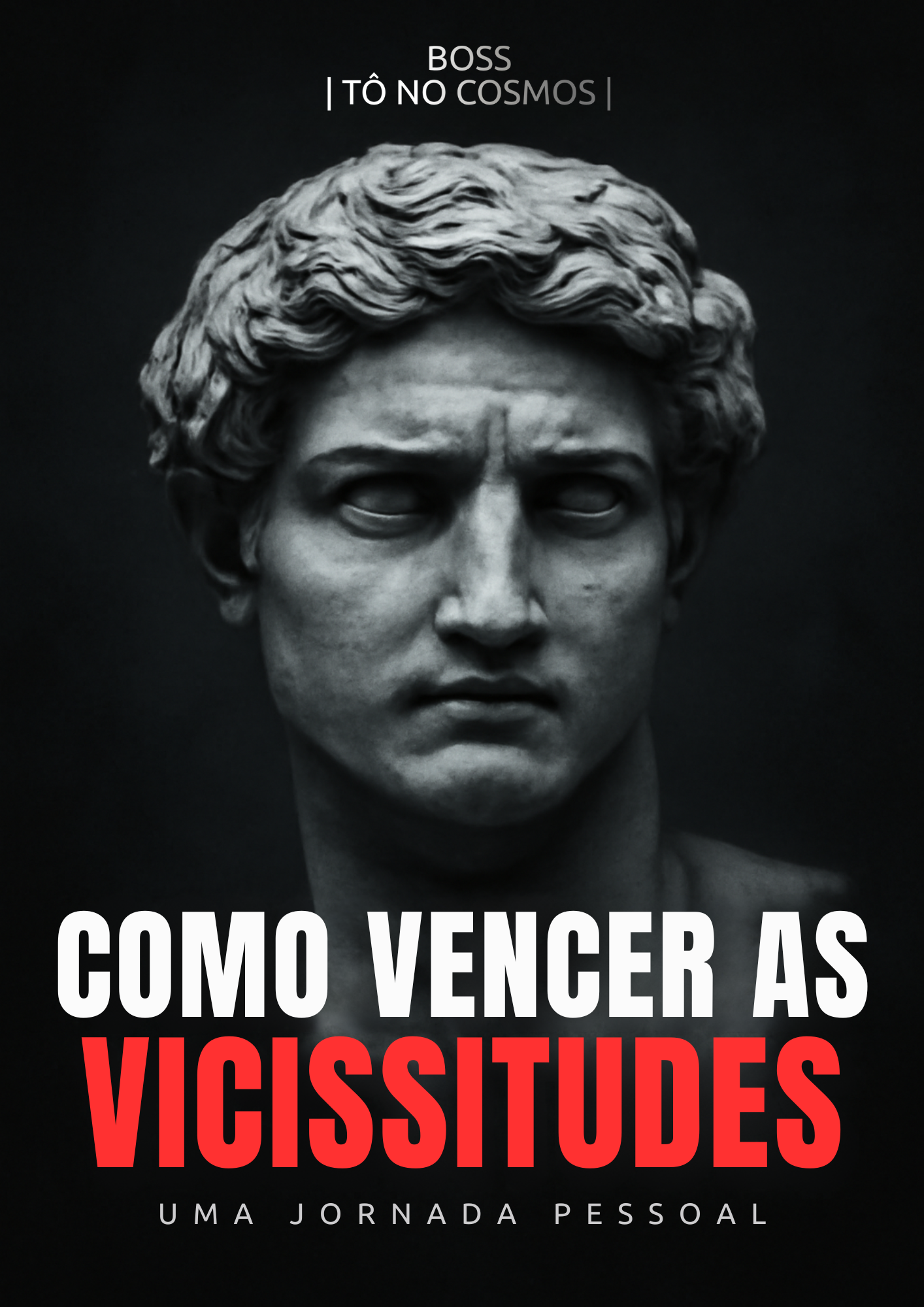 Como Vencer As Vicissitudes