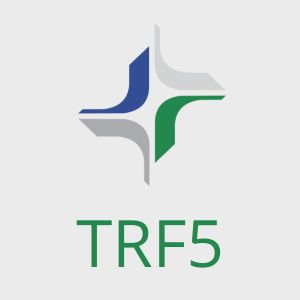 Redação TRF5 - Técnico e Analista Judiciário - Discursiva na Prátic...