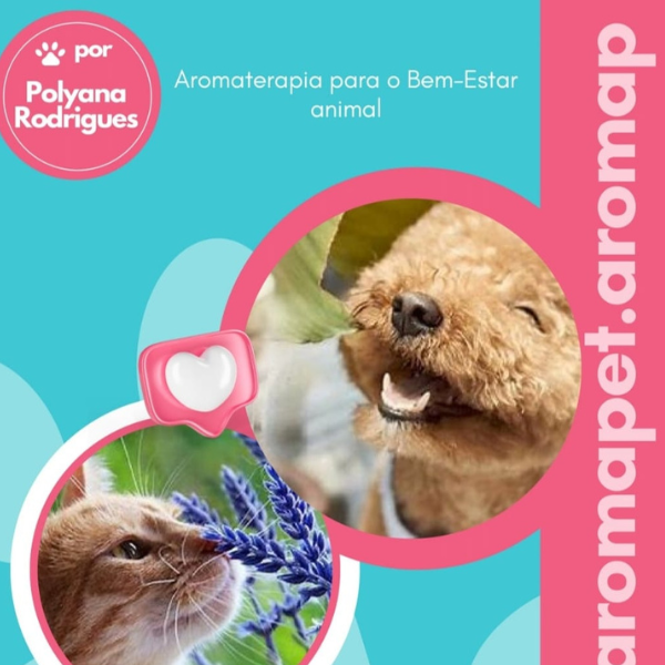 Aroma pet - Aroma terapia para bem-estar animal - polyana roddrigue...