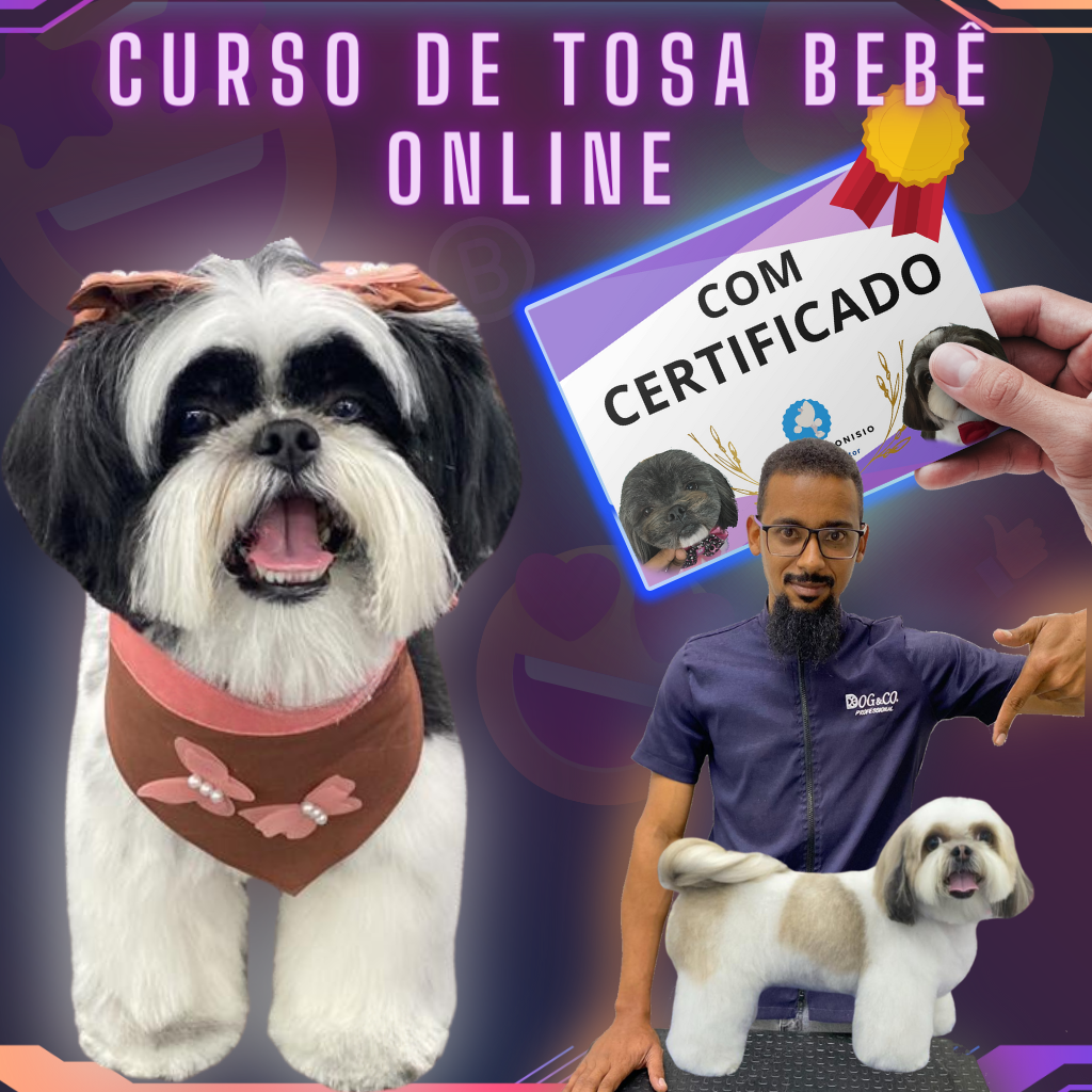 Curso de Tosa Bebê - Eduardo Dionisio | Hotmart