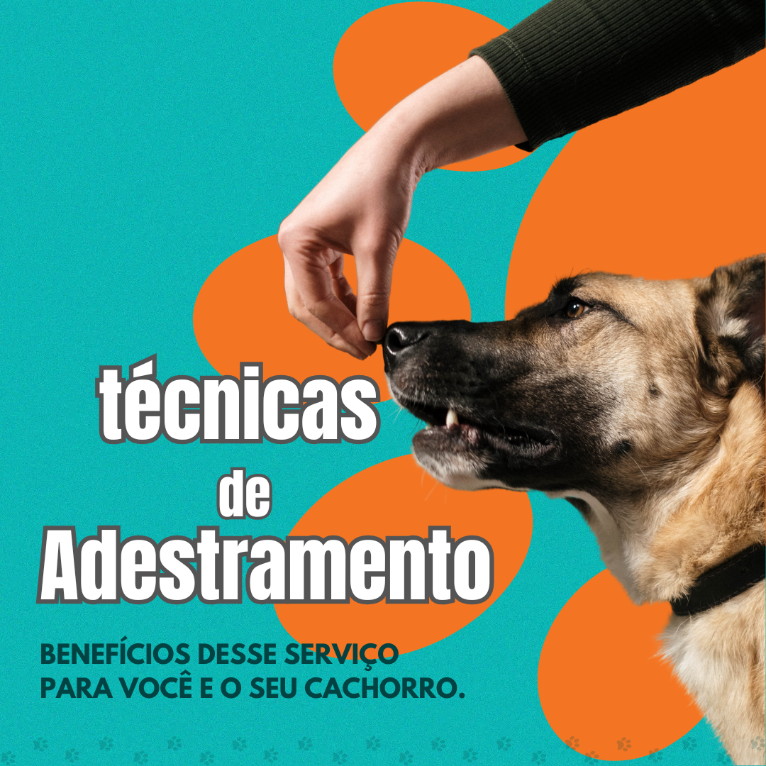 Guia Completo para Adestrar e Melhorar o Comportamento de Cães - Da...