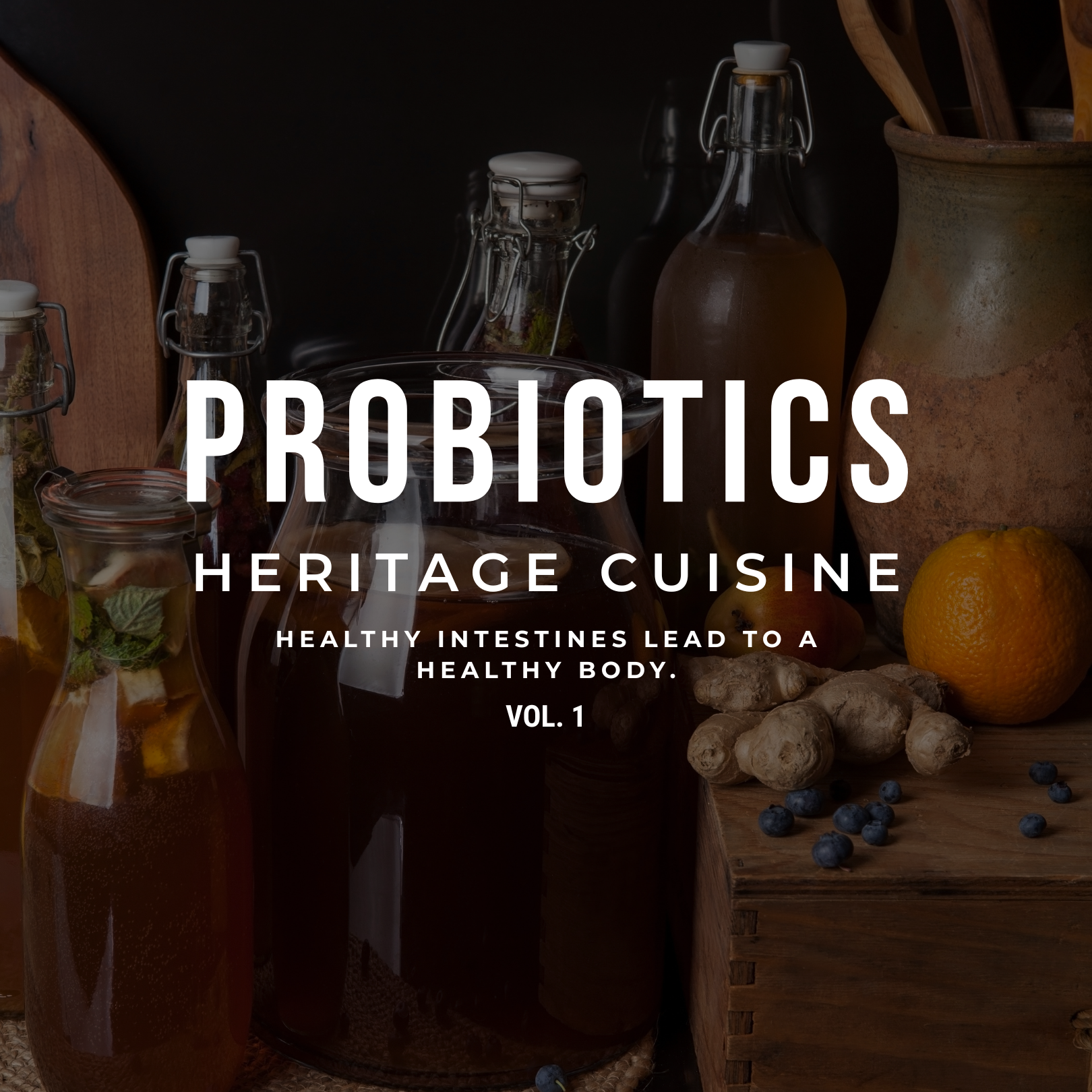 Ancestral Kitchen Probiotics - Juan Felipe Rebolledo Lozano | Hotmart