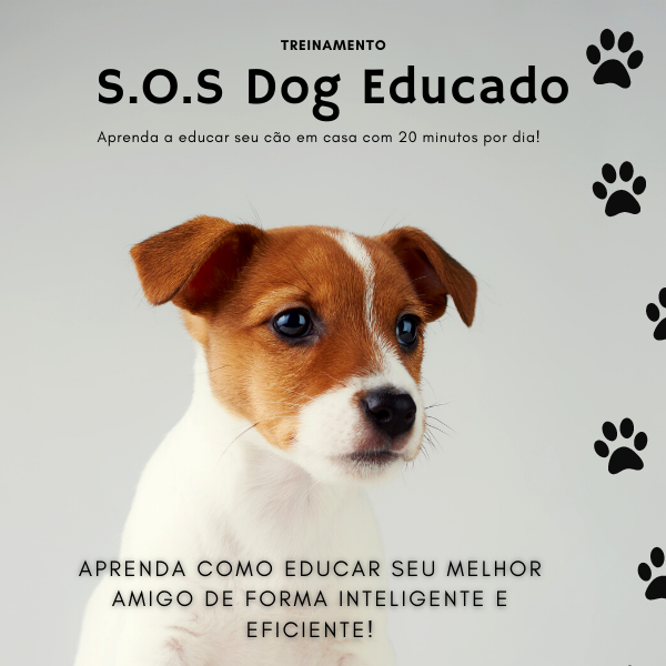 Sos Dog Educado