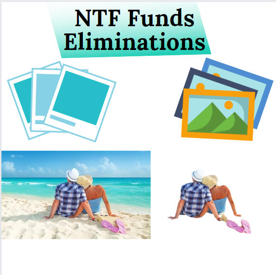NTF Fund Eliminations