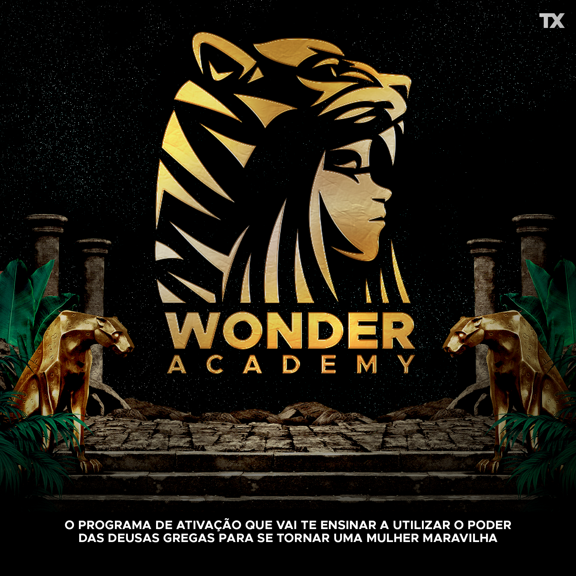 WONDER ACADEMY