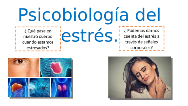 La Psicología del Estrés - diego cesar villafane | Hotmart