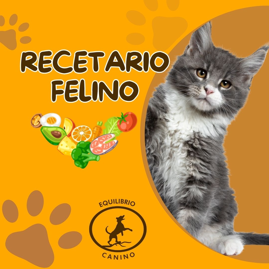 RECETARIO FELINO - Equilibrio Canino - Daniel Felipe Torres Cano