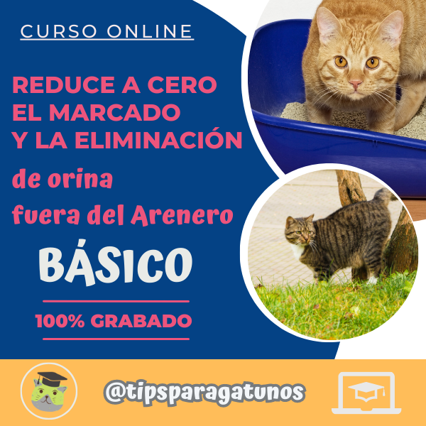 Reduce a Cero el marcado y la eliminación de orina fuera del arener...