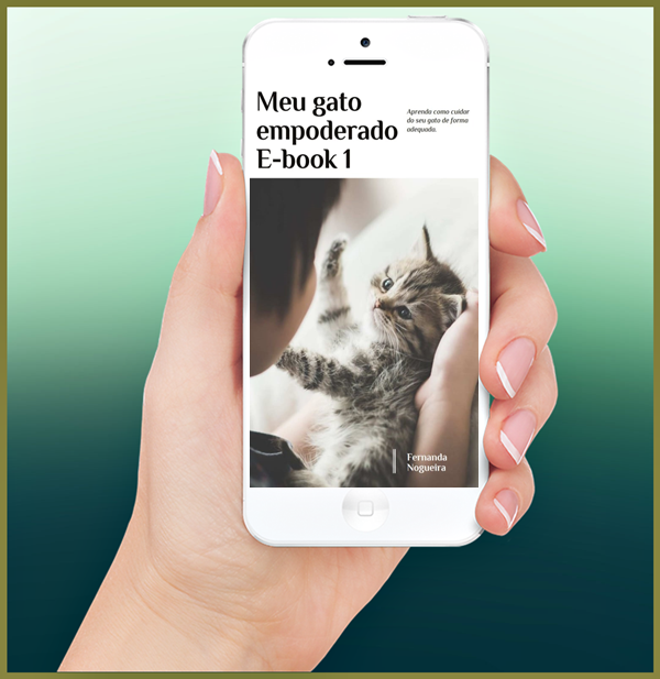 Meu gato empoderado