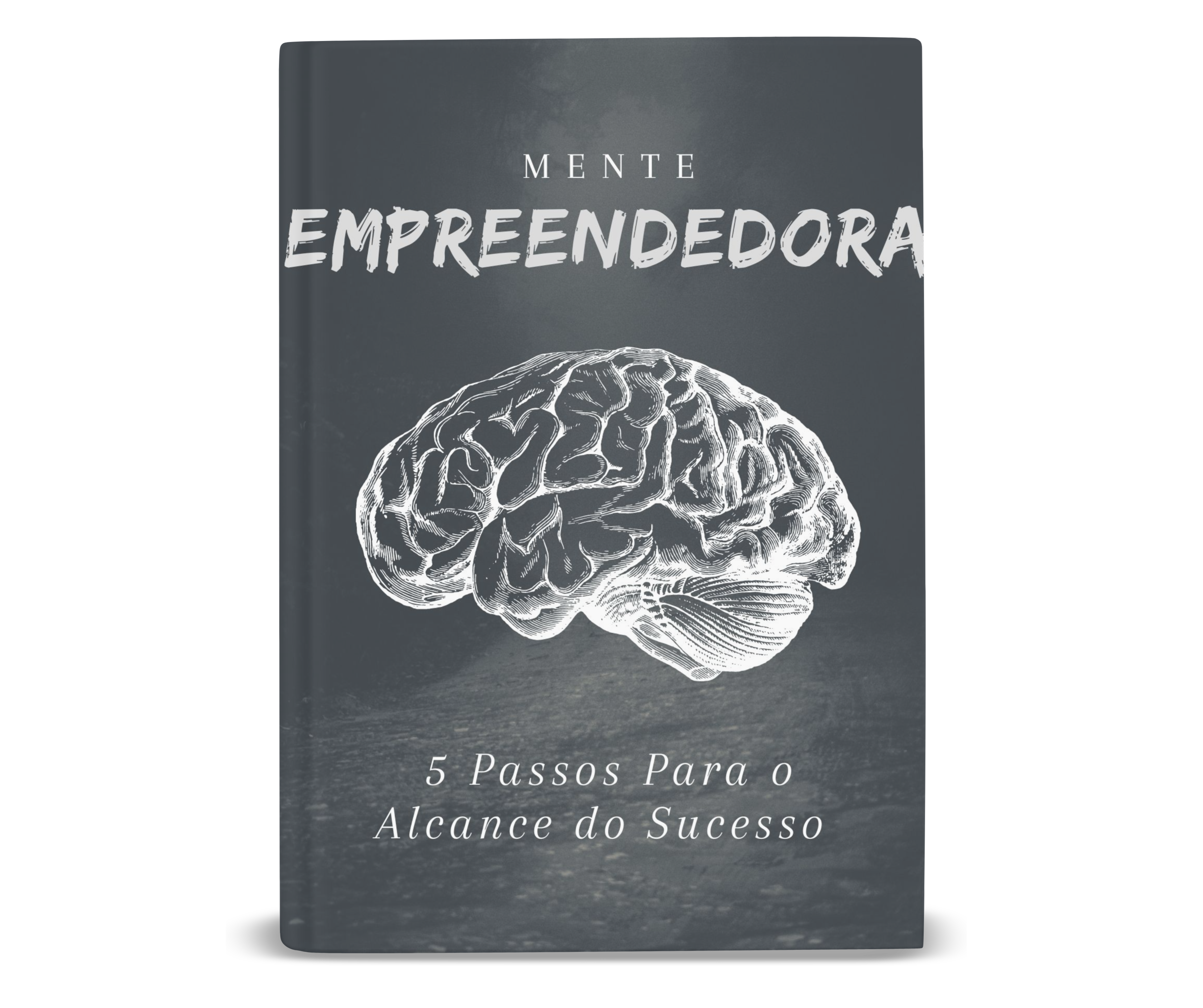 Mente Empreendedora: 5 Passos Para o Alcance do Sucesso