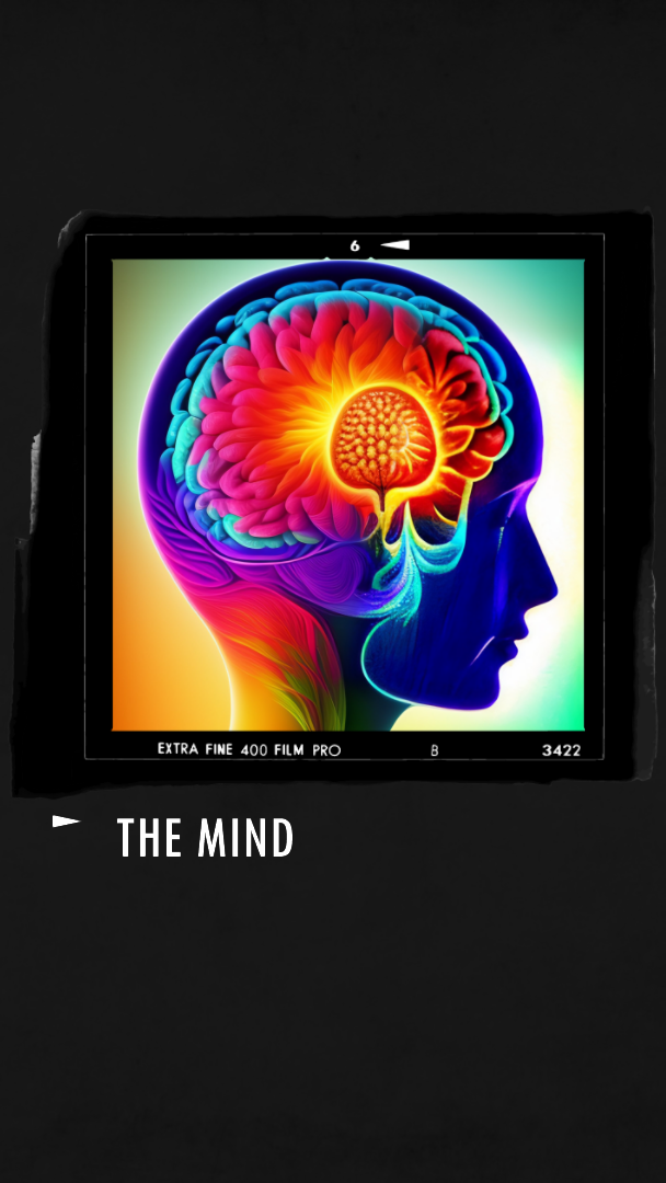 Foco Total: Domine Sua Concentração e Alcance o Sucesso - Calebe Fe...