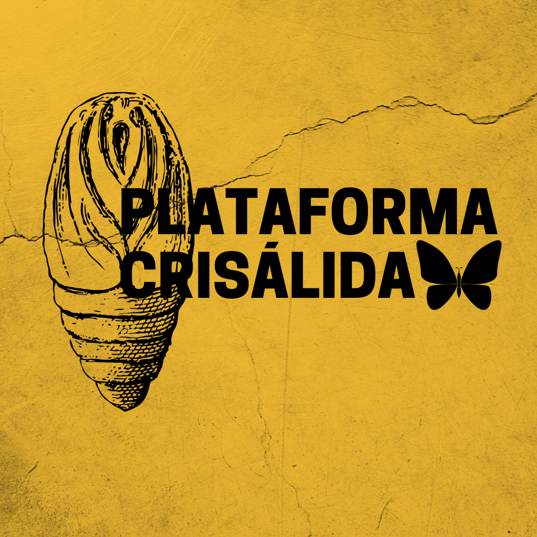 PLATAFORMA CRISÁLIDA - Andréia Selbach Moraes | Hotmart