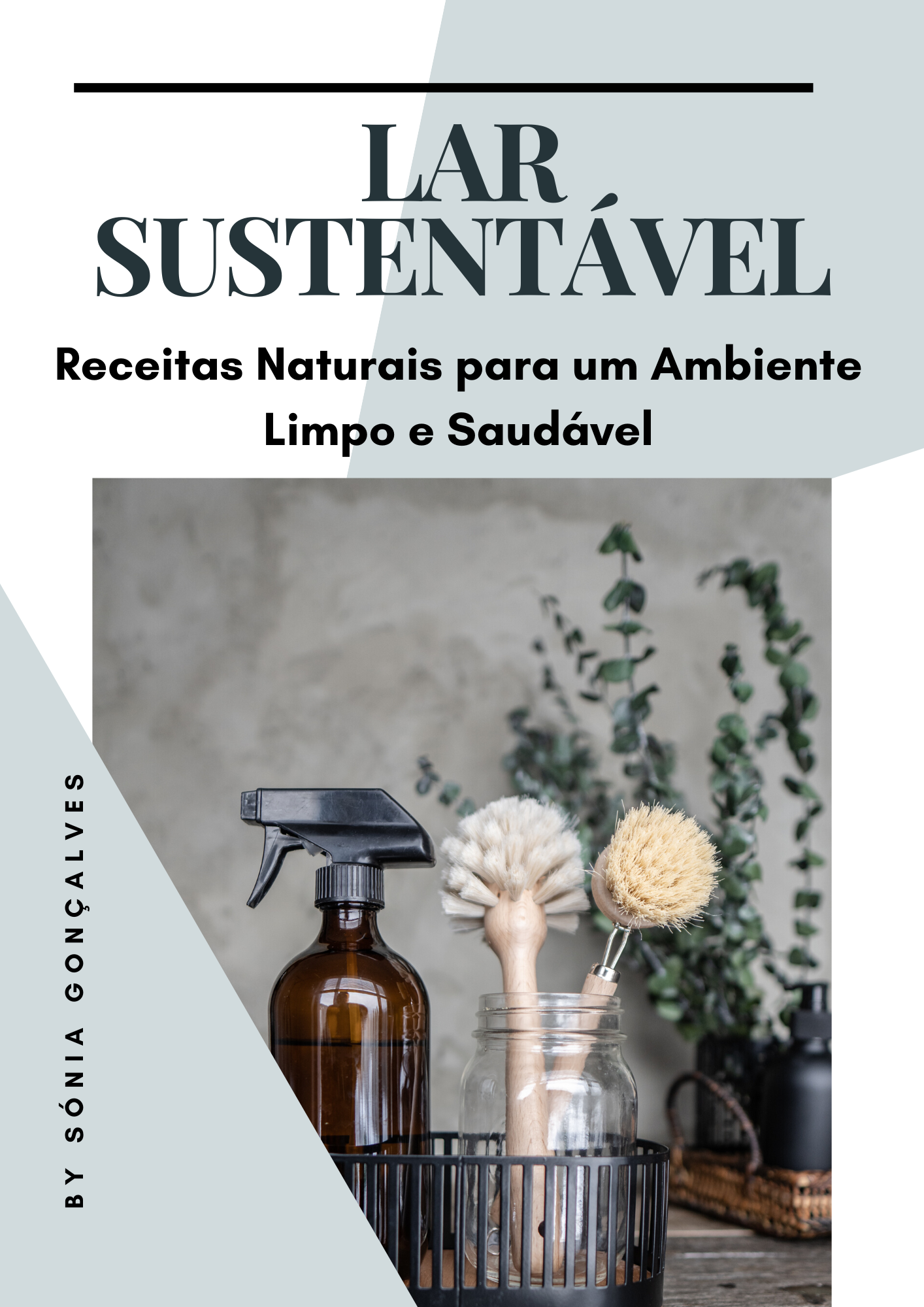 Lar sustentável- Receitas naturais para um ambiente limpo e saudáve...