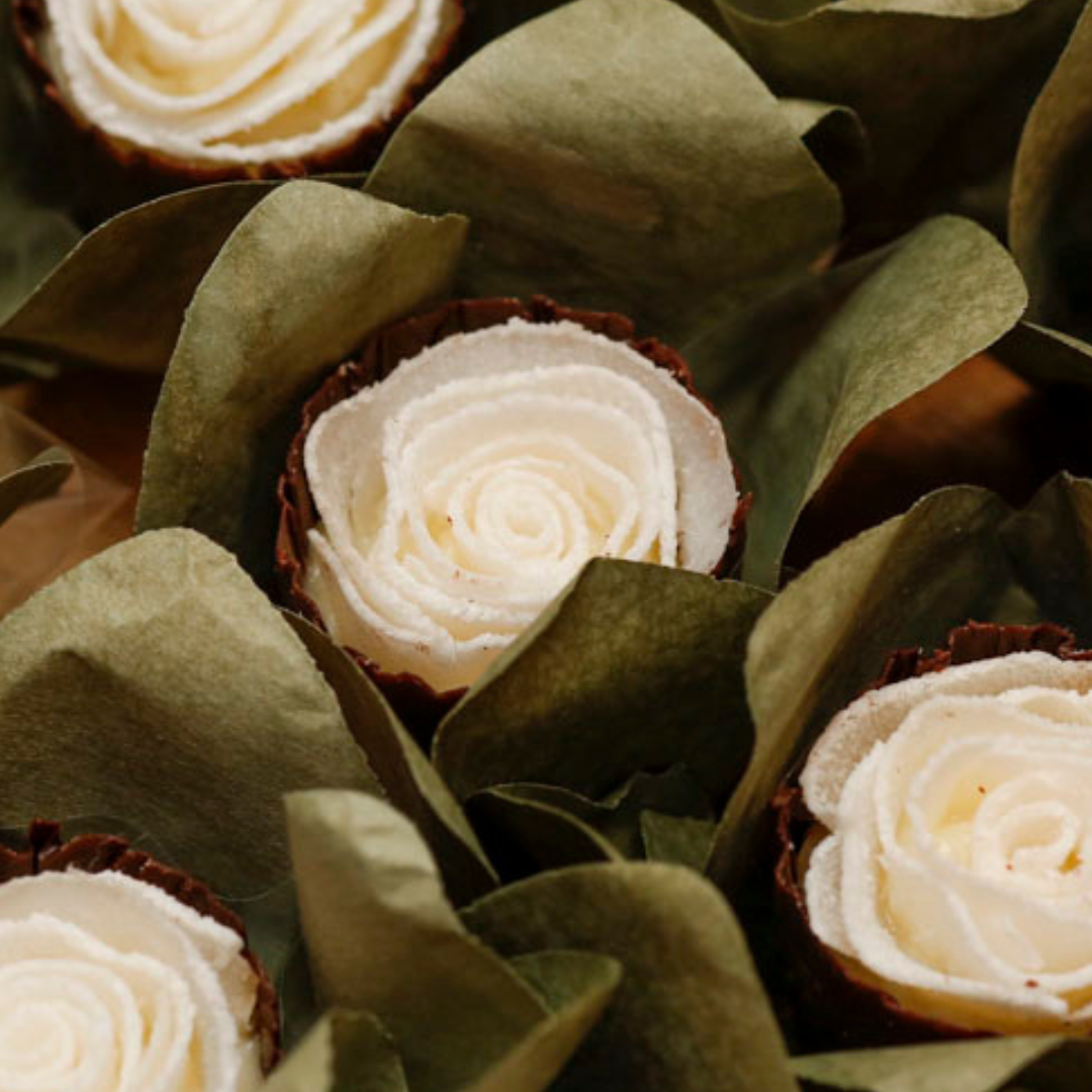 Rosa de Coco - Marcia Seabra da Silva Passos Suzuki Eirelii | Hotmart