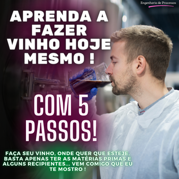 APRENDA A FAZER VINHO RÁPIDO ! - Alessandro Ribeiro | Hotmart