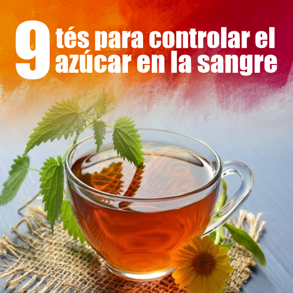 Nueve tés para controlar el azúcar en la sangre - GE Company | Hotmart
