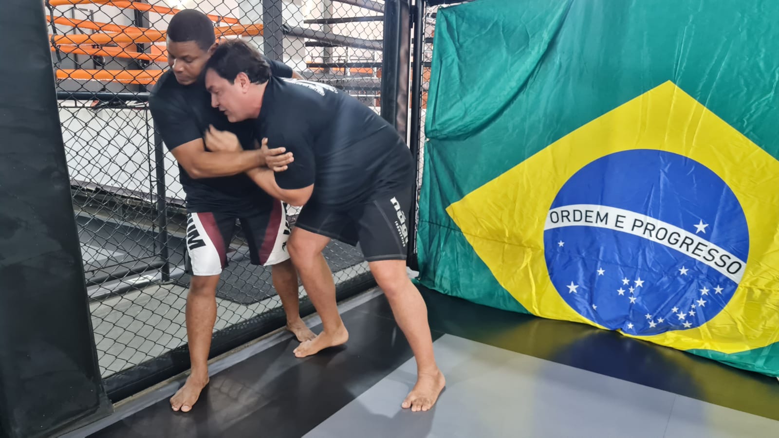 Uso inteligente da grade para o MMA - Centro de Estudos de Jiu-Jits...