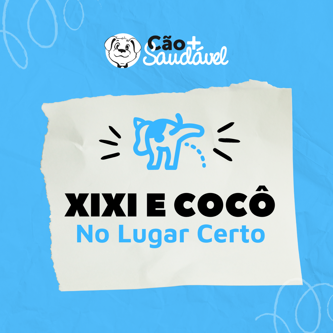 Xixi e Cocô no Lugar Certo - Rafael Velozo | Hotmart
