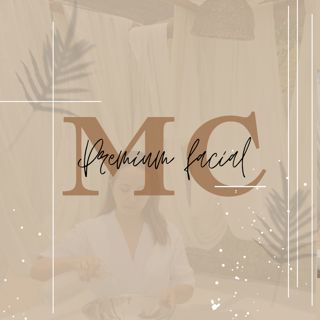 MASTER CLASS PREMIUM FACIAL - Silvana toro | Hotmart