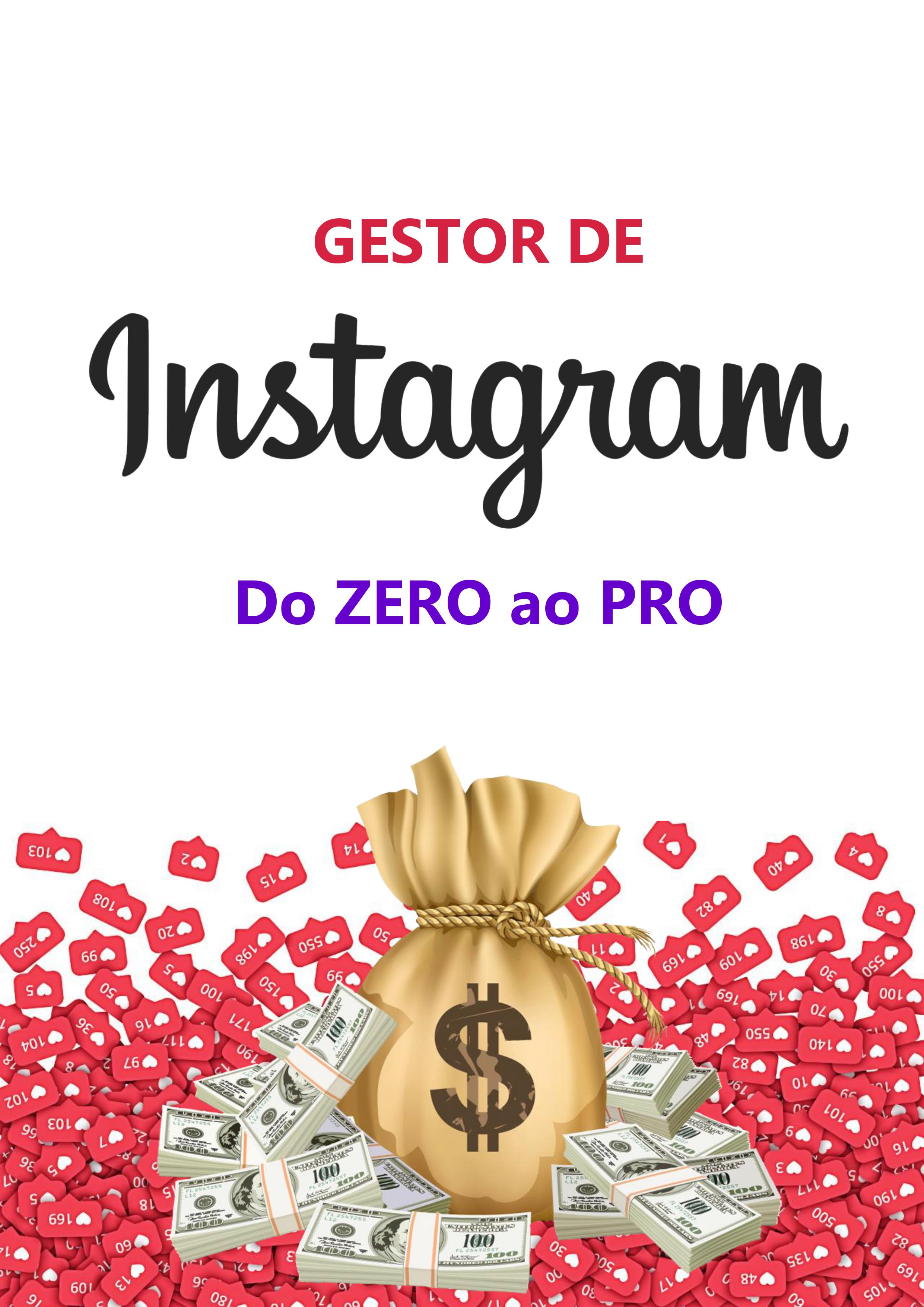 Gestor de Instagram do Zero ao Pro - Julia Snitko | Hotmart