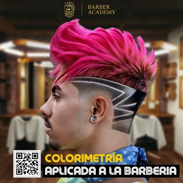 Colorimetria Aplicada A La Barberia - antonio felipe ortiz bueno