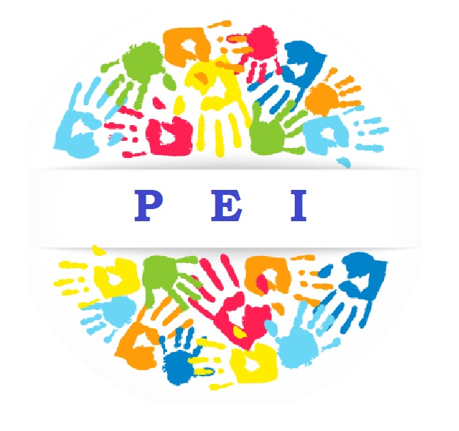 KIT elaboração de PEI (Plano Educacional Individualizado) - Flávio ...