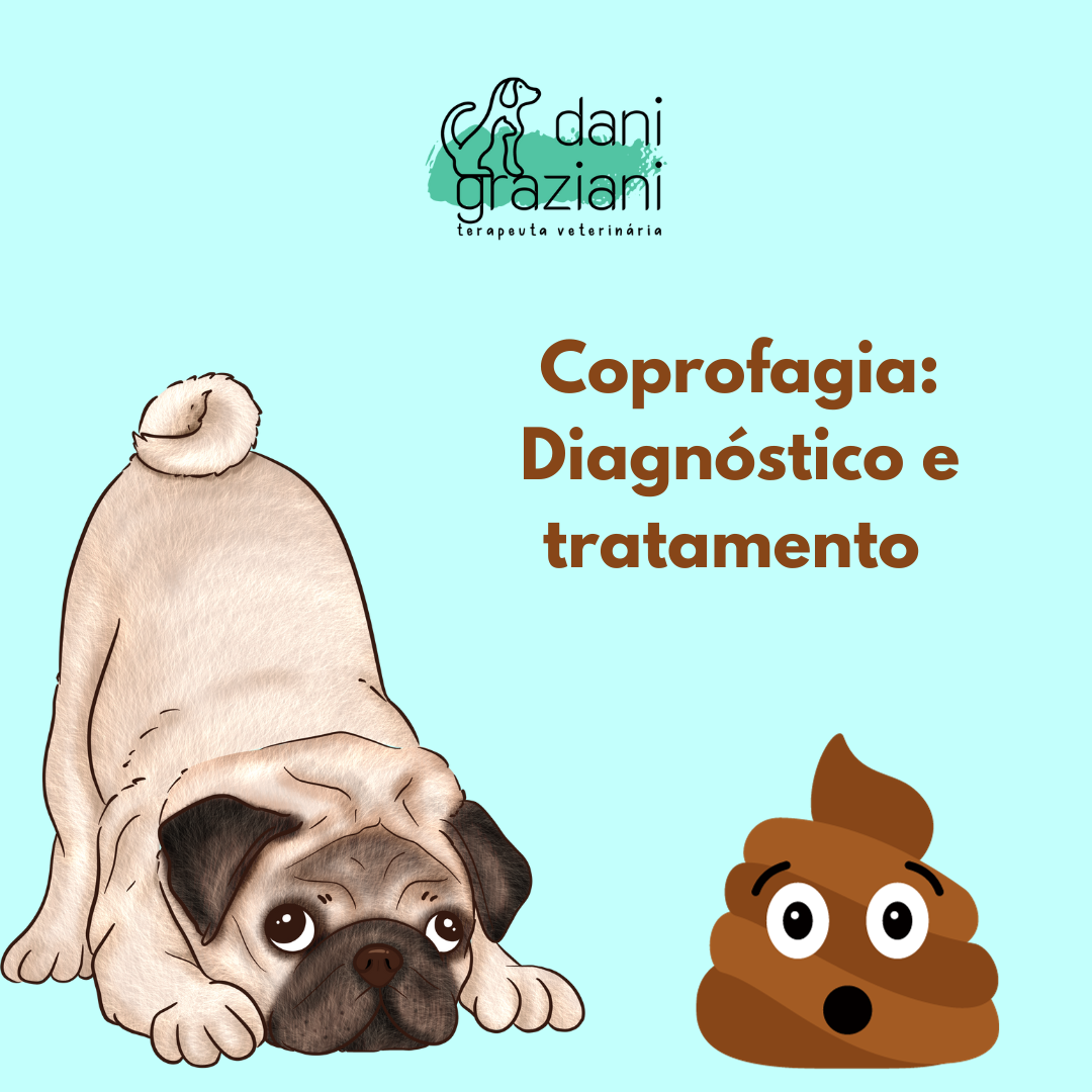 Coprofagia: Diagnóstico e Tratamento - Dani Graziani | Hotmart