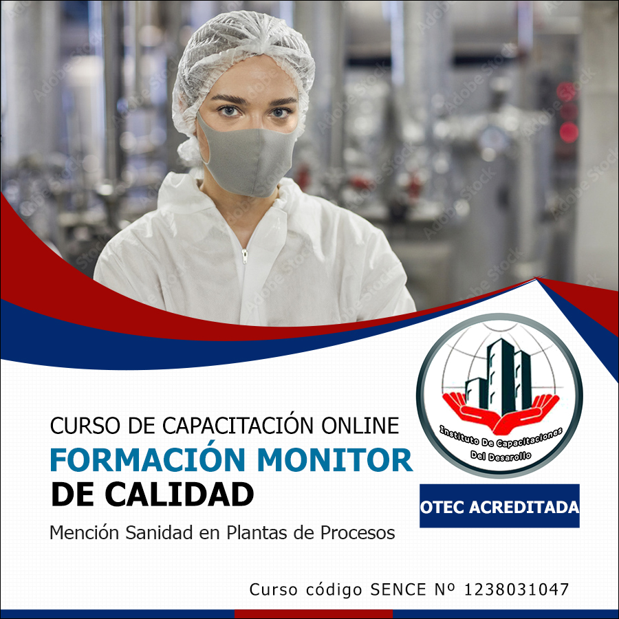 Curso Monitor de Calidad en Plantas de Procesos - Luis Alcayaga | H...