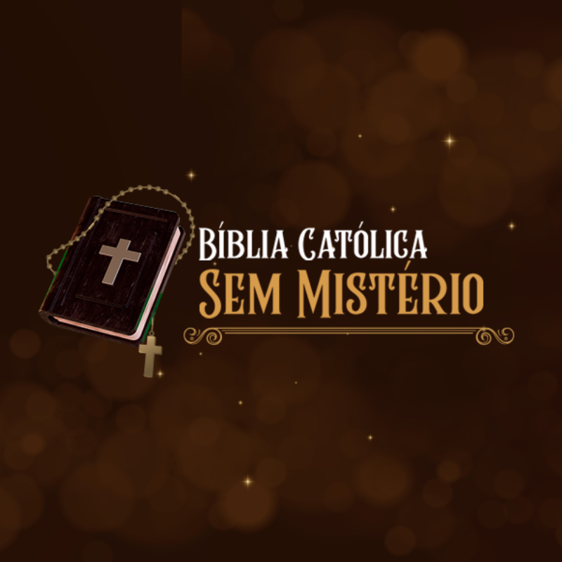 Bíblia Católica Sem Mistério - PIX/Boleto Parcelado - O Propagador ...
