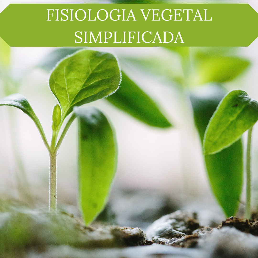 Fisiologia Vegetal Simplificada - Instituto de Capacitação e Aperfe...