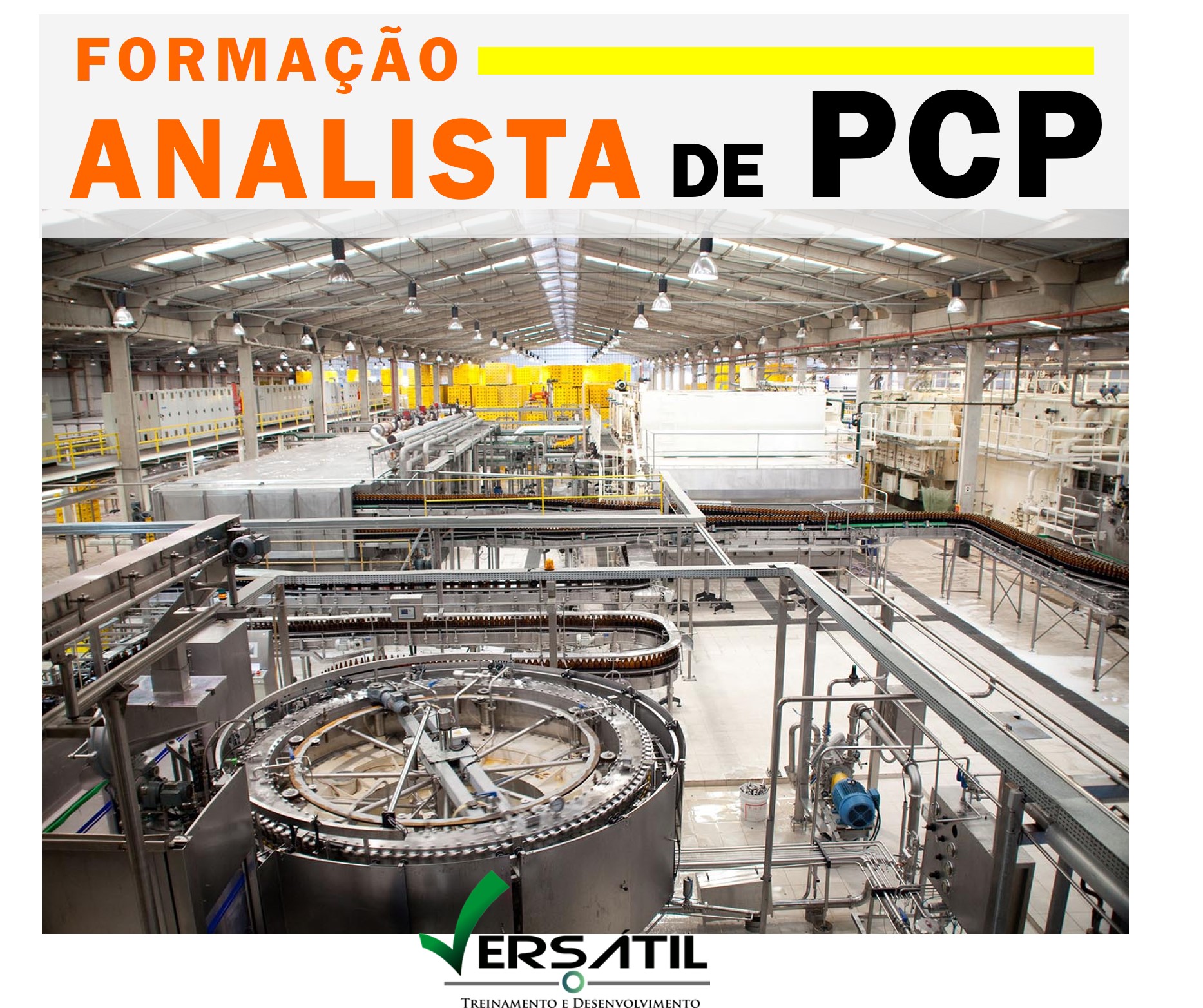 Formação Analista de PCP (Planejamento e Controle da Produção)