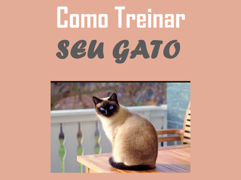 Como Treinar Seu Gato - GC Produtos Online | Hotmart