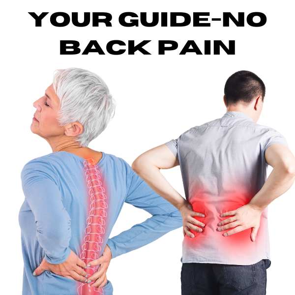 Your Guide To The Back