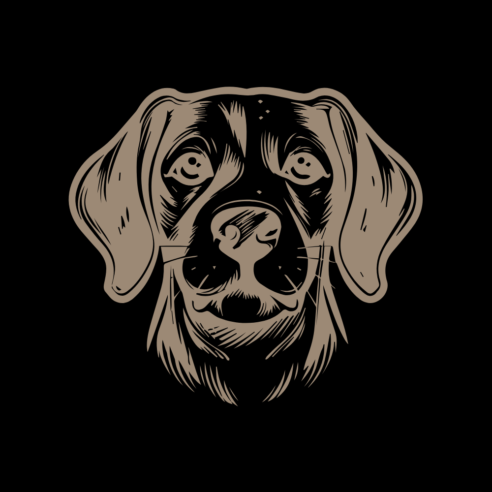 Dream Dog Academy - Starter Kit