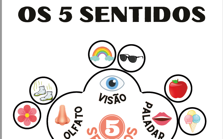 Os 5 Sentidos - Recurso Pedagógico - Psicopedagoga Elen Cristine Me...